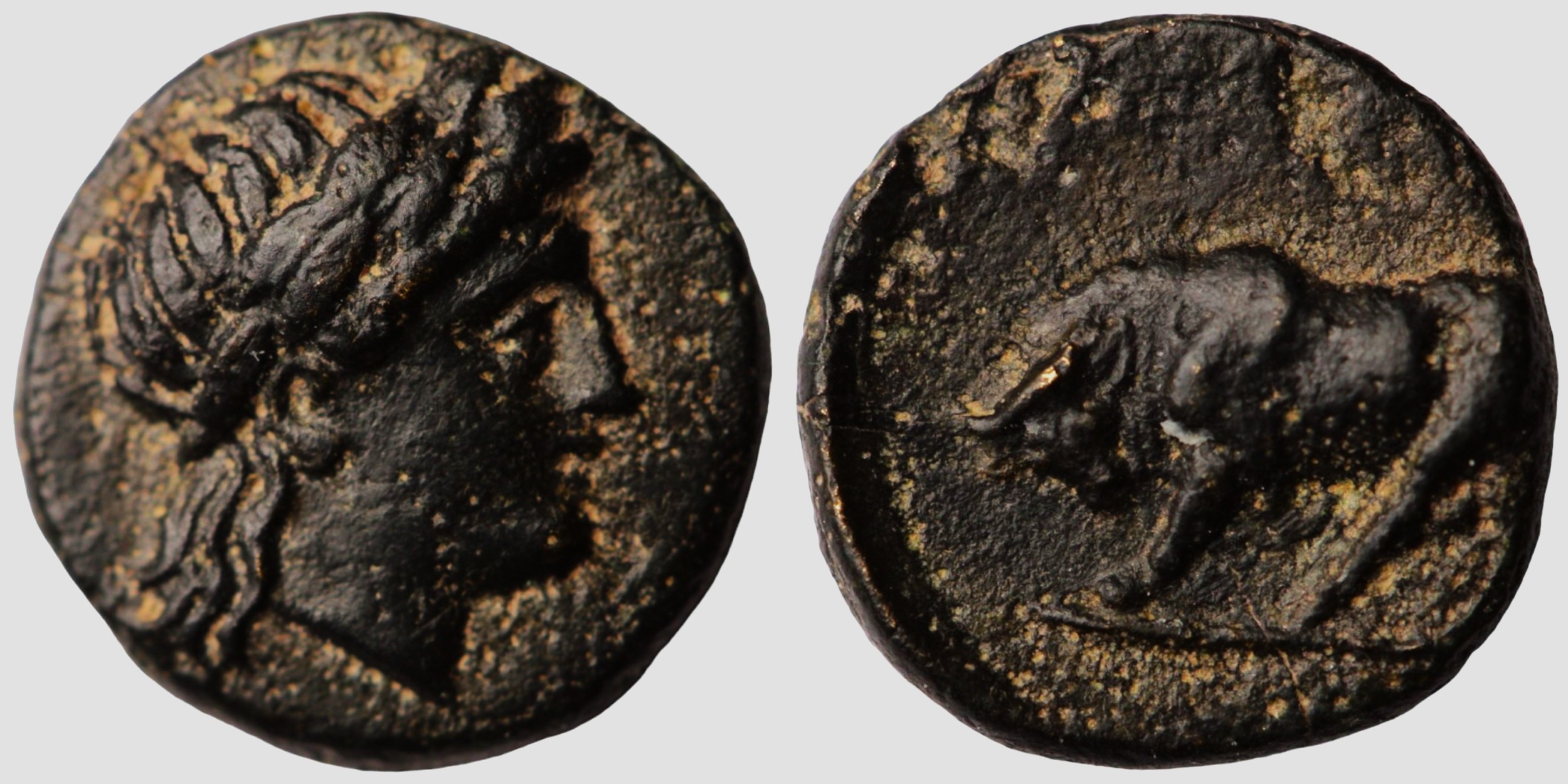 Mysia, Gambrion Æ10. 4th century BC. | Greek Coins