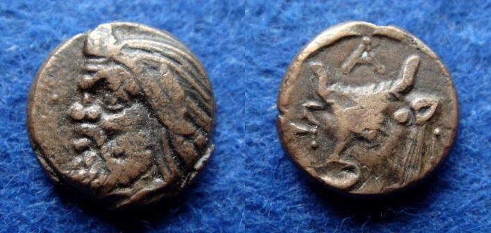 PANTIKAPAION – AE – PAN – OX – VF! | Greek Coins